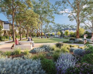 Renewal SA • Noarlunga