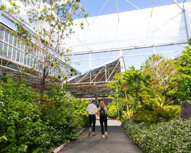 Our approach • Renewal SA