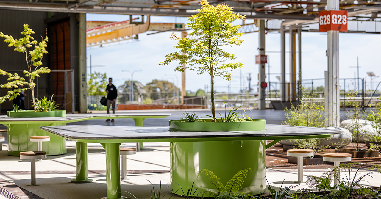 Tonsley drives towards a greener future with new MAB forest • Renewal SA