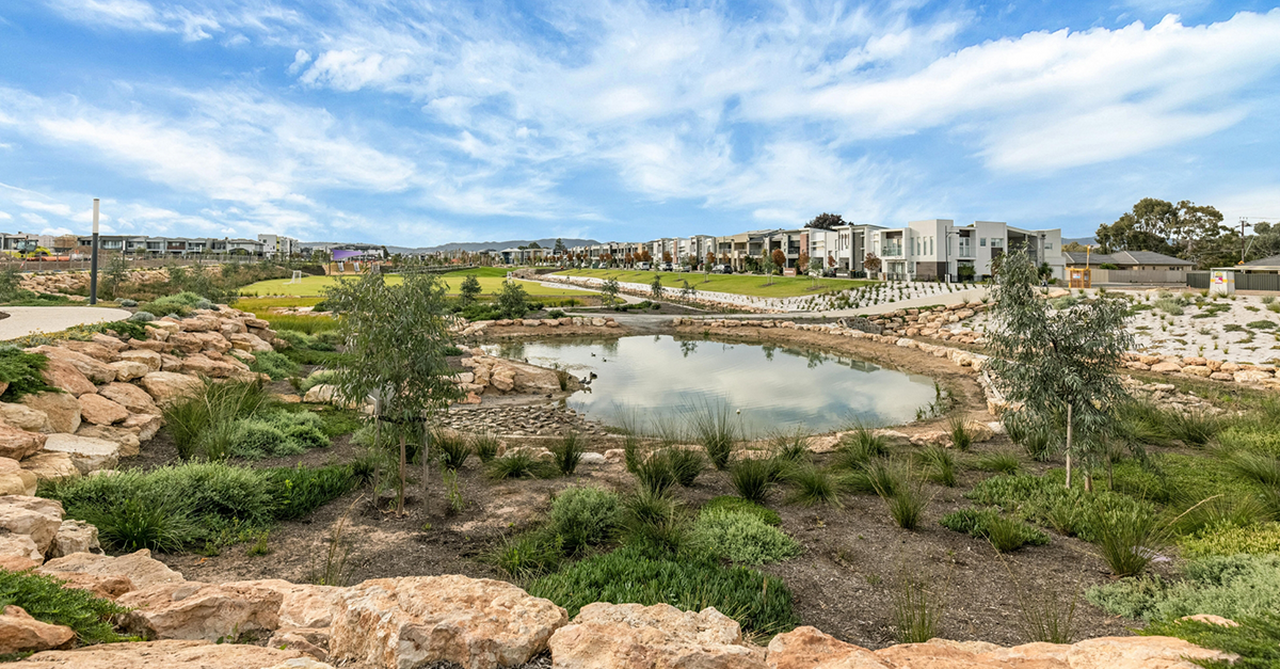 Lightsview sets gold standard for master-planned development • Renewal SA
