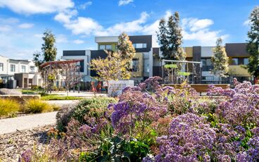 Partnerships • Renewal SA